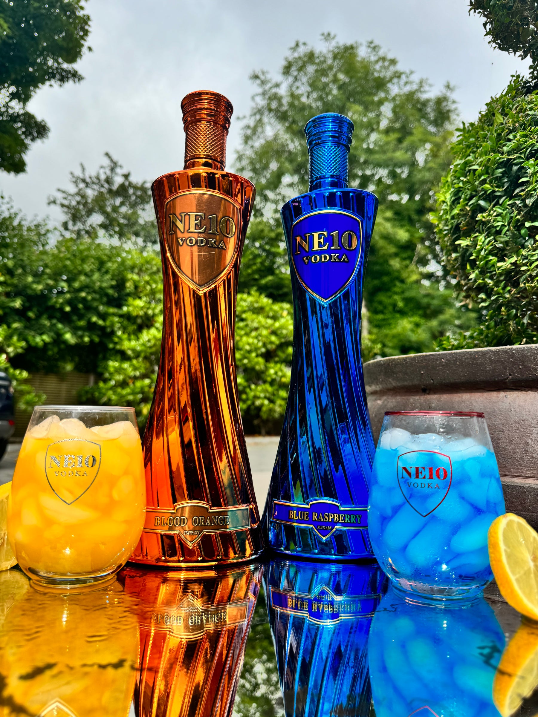 NE10 Vodka™ | Shop Premium Flavoured Vodka – NE10vodka