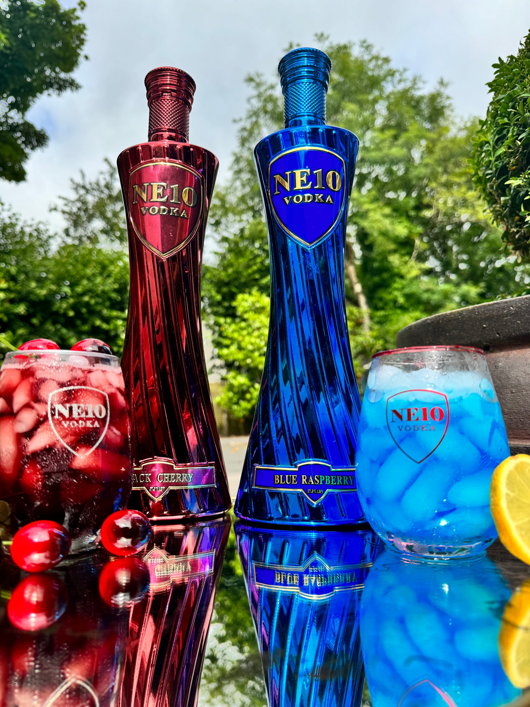 NE10 Vodka™ | Shop Premium Flavoured Vodka – NE10vodka