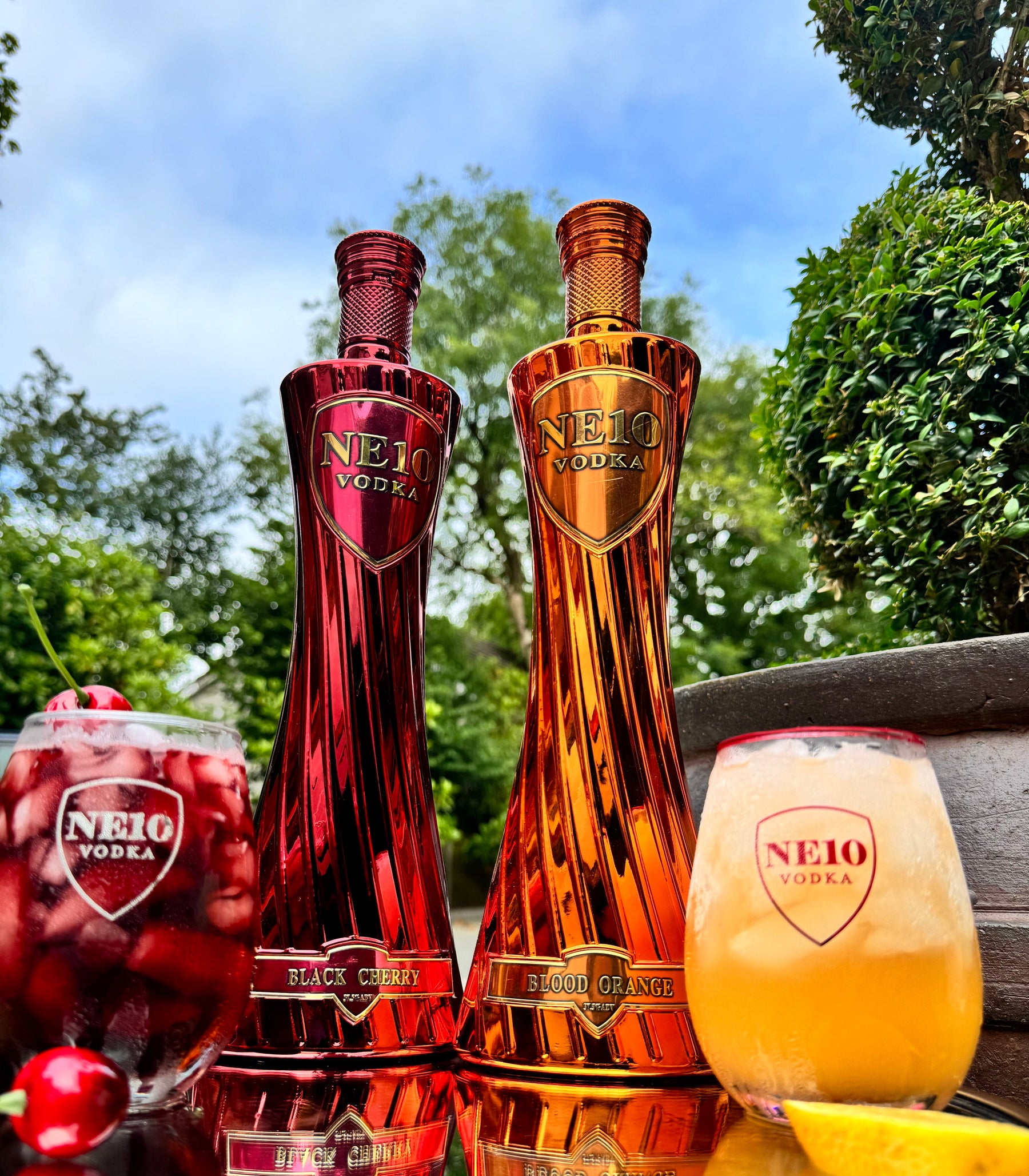 NE10 Vodka™ | Shop Premium Flavoured Vodka – NE10vodka